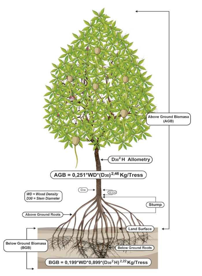 RESEARCH & DEVELOPMENT – Yagasu